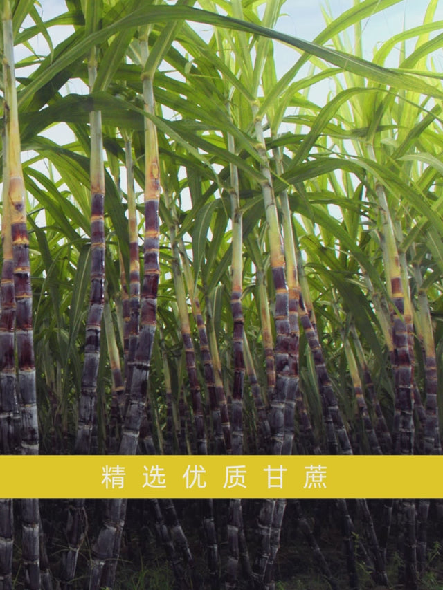 Caramel Slab Sugar 片糖 400 g | 帆船牌 Ship Brand – Yuen Tung Sugar